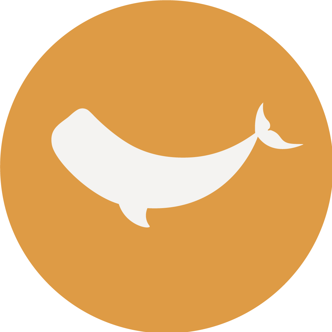 Home — EdTech Connect: Your Source for Higher Education Technology Solutions